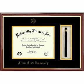 University of Michigan Tassel and Diploma Frame - Handcrafted - Walmart.com