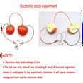 Fruit Battery Science Experiment Kit for Home Teaching Toy, Lemon ...
