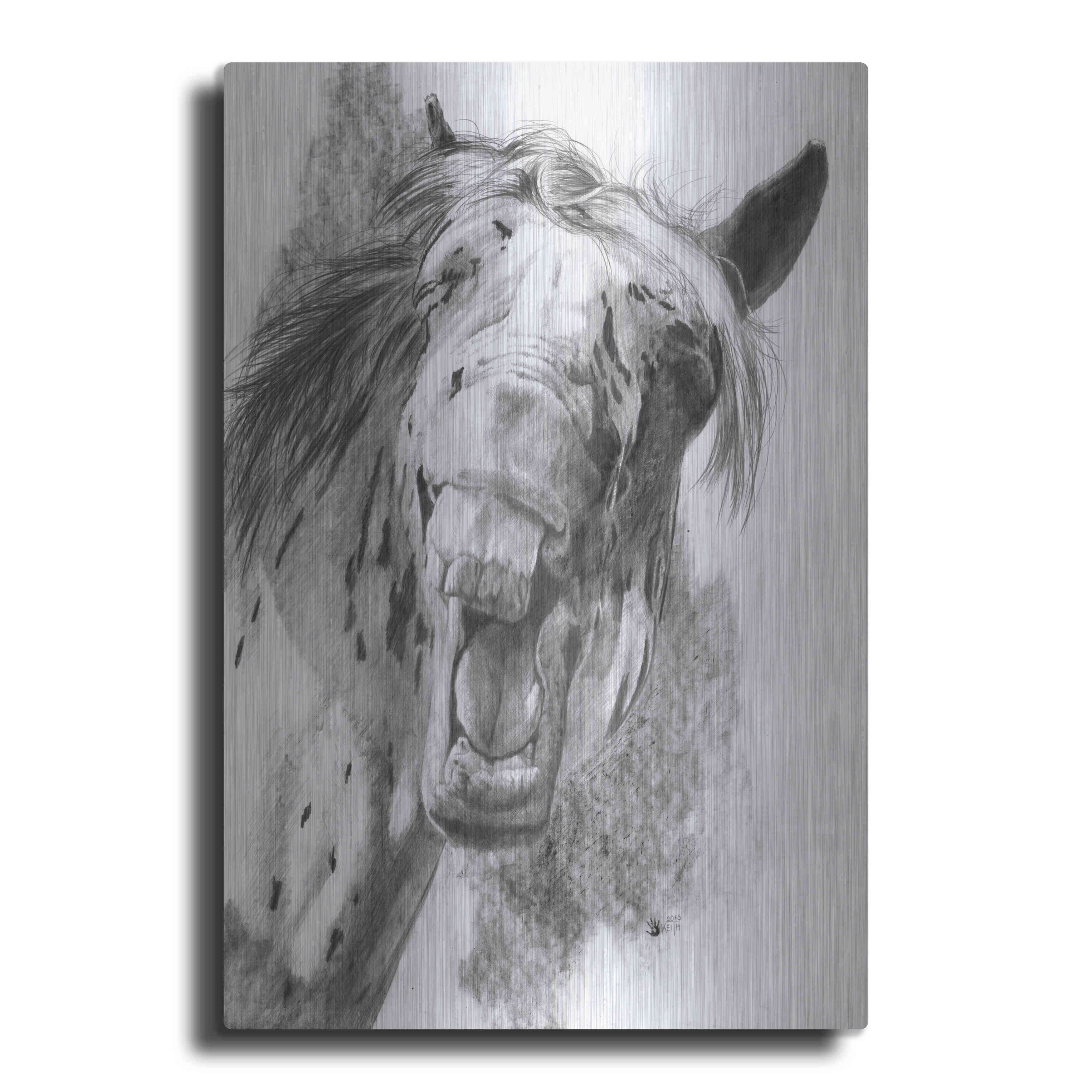 Luxe Metal Art 'The Critic' by Barbara Keith, Metal Wall Art, 16"x24 ...