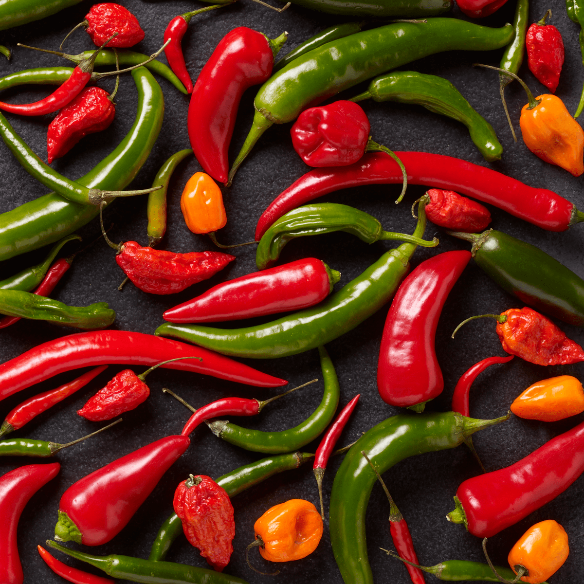 Is Ghost Pepper Bad For Dogs