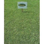 Southland Sod 4 Marathon II Grass Seed Mix, 5 Pounds - Walmart.com