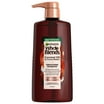 Garnier Whole Blends Ginger Recovery Strengthening Shampoo, 22 fl oz ...