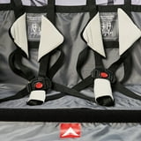 Allen Sports 2-Child Bicycle Trailer and Stroller, model AS2 - Walmart.com