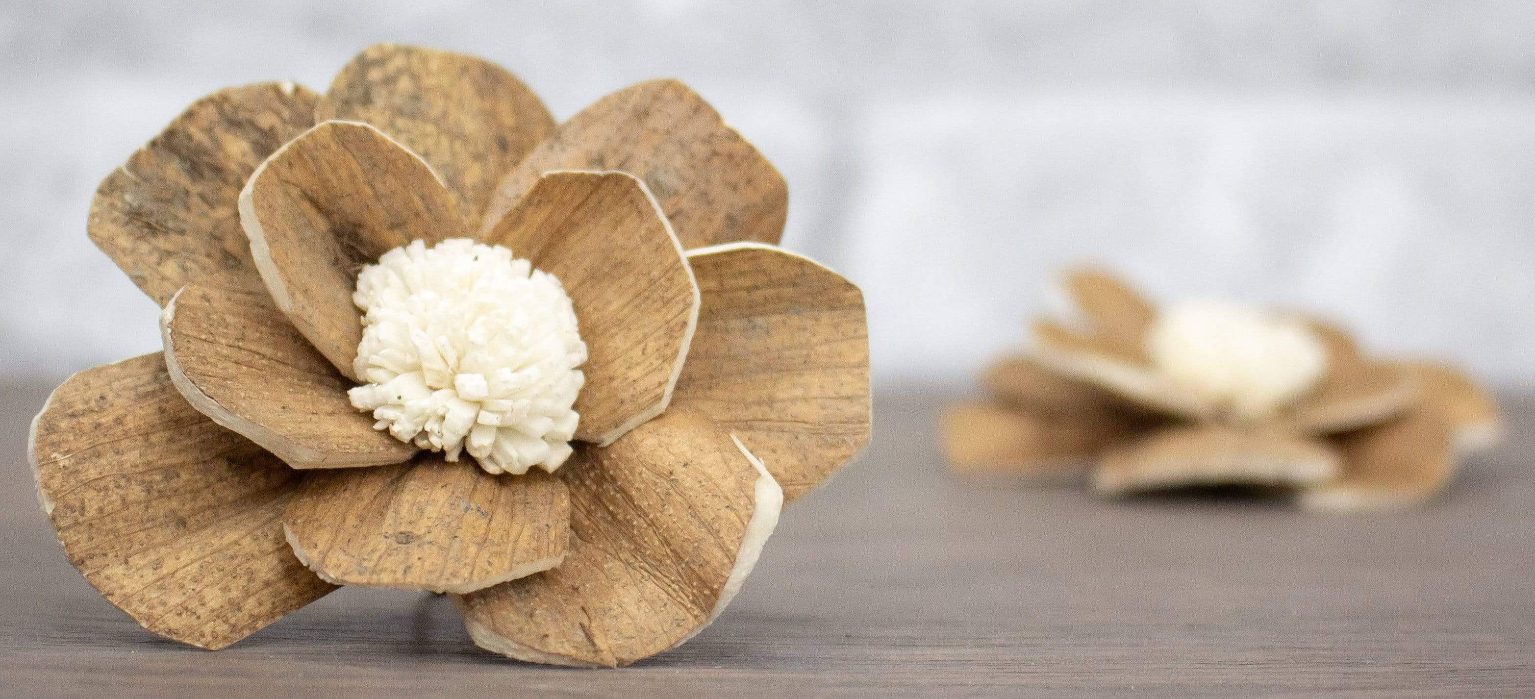 10 Pcs Adorable Raw Sola Wood "Coco" Flowers Featuring Gorgeous Petals ...