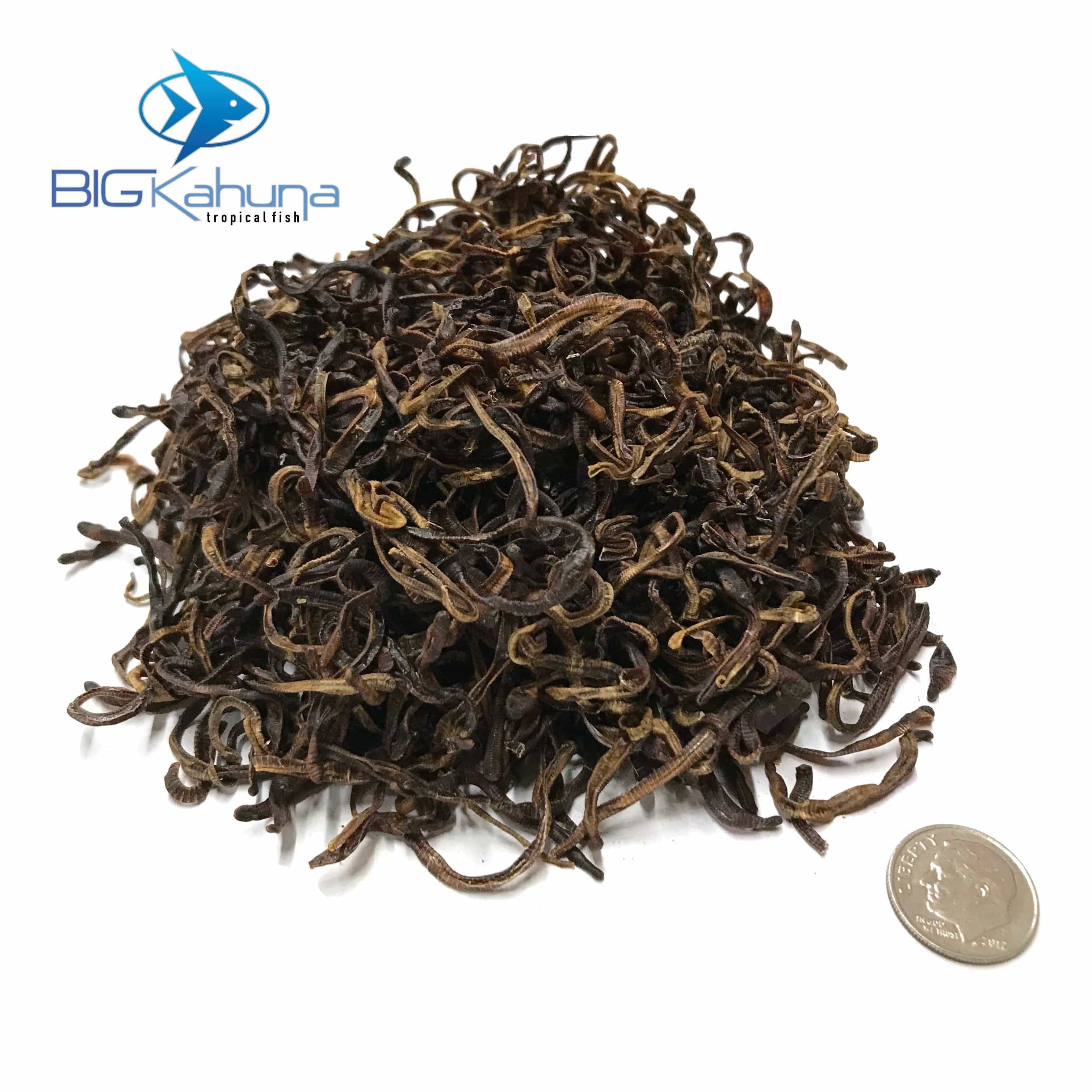 Big Kahuna Dried Earthworms - Walmart.com