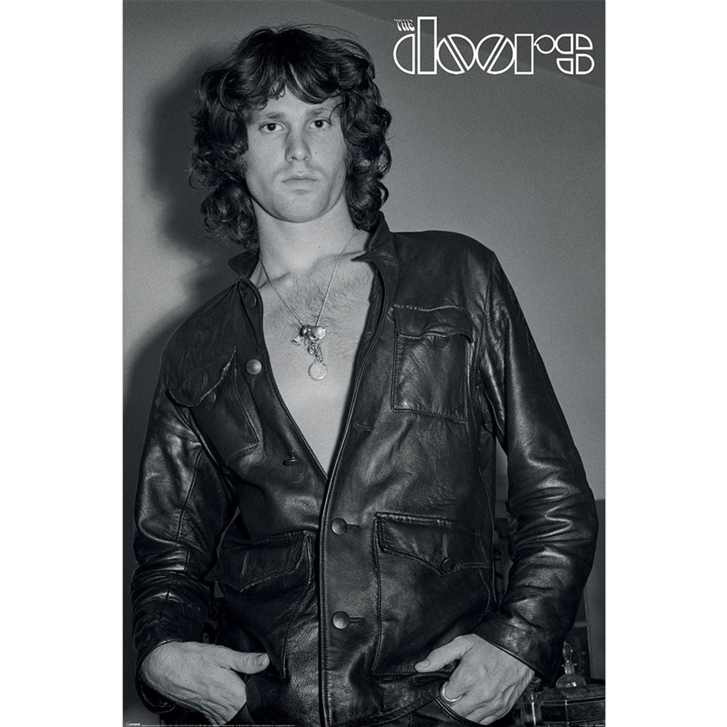 Click here for The Doors Jim Morrison Maxi Paper Poster prices