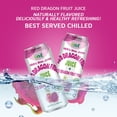 Vinut 100%Red Dragon Fruith Juice With Pulp (16.57 fl oz, Pack 12), No ...