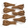 Butterfly Hostas Planting-Garden Stakes-Premium Ornamental-Home ...