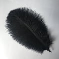 20 pcs Natural Black Ostrich Feathers Plumes 8-10 inch(20-25 cm) Bulk ...