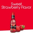 Daily's Cocktails Strawberry Mixer, Kosher, Gluten-Free, 1 L Bottle ...