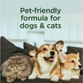 SimpleSource Flea and Tick Home and Pet Spray 32oz Kills Fleas, Eggs ...