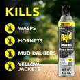 Raid Defend Outdoor Defense System Wasp and Hornet Bug Spray, Insect ...