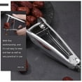 Jujube Pitting Tool Lovely Pitter Useful Core Remover Date Push Type ...