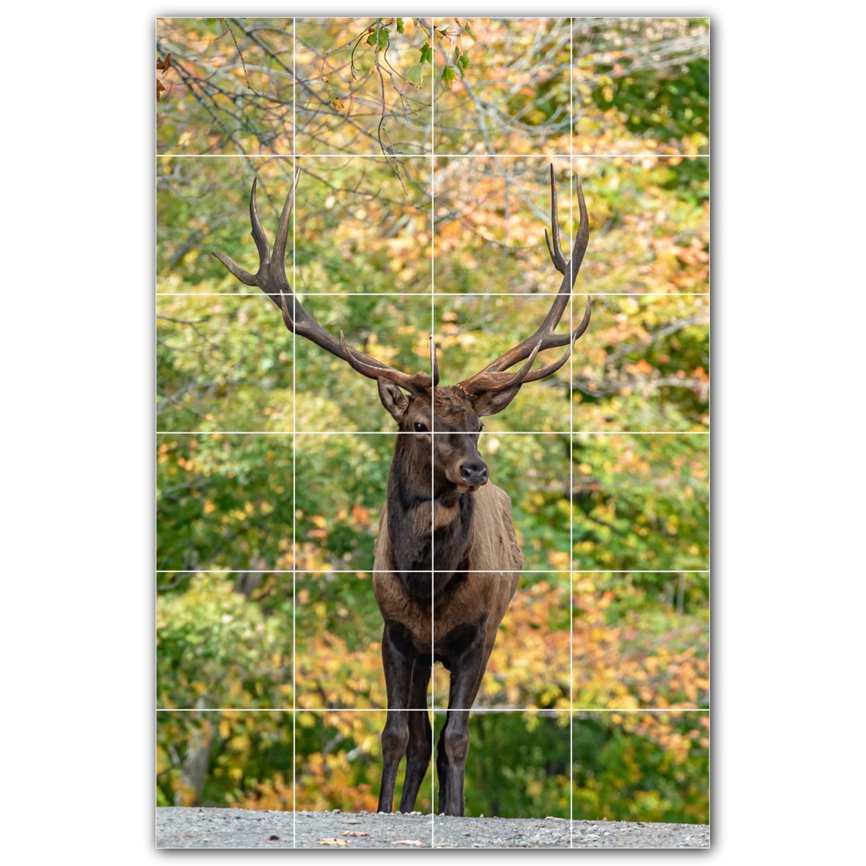 Picture-Tiles.com: Deer Ceramic Tile Wall Mural WAL500457-46L. 32"W x ...