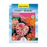 Zinnia Flower Garden Seeds - Profusion Series - Double Cherry - 100 ...