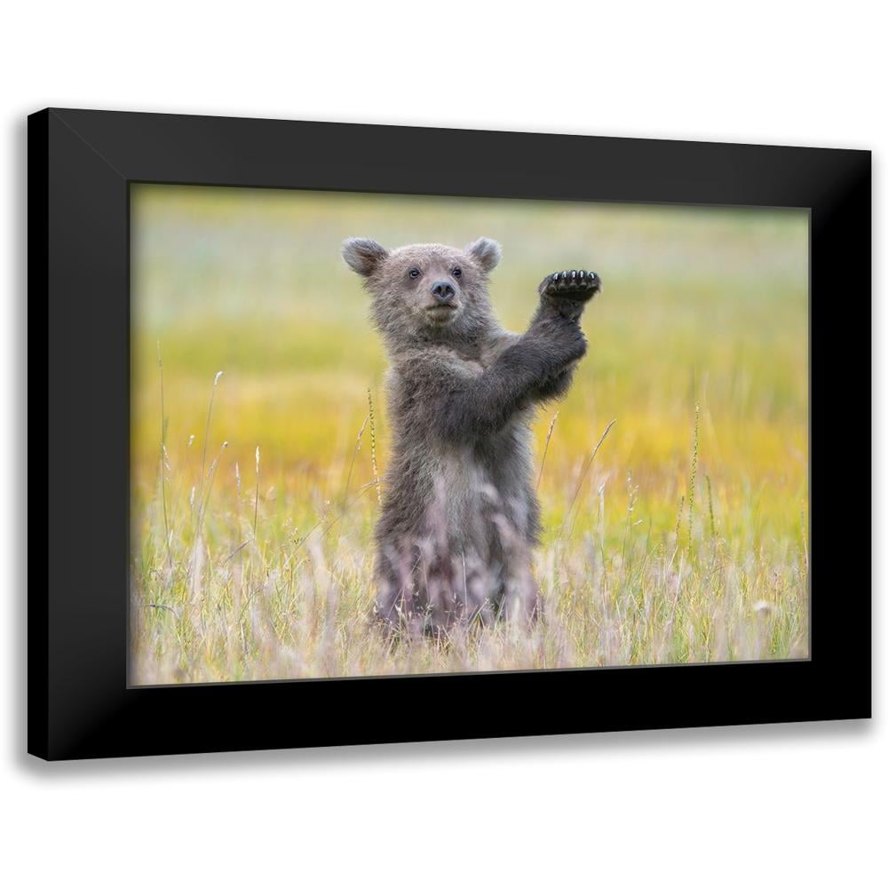 Hao Jiang, 24x19 Black Modern Framed Museum Art Print Titled - A little conductor - Walmart.com