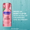 Absolut Vodka Ready to Drink Berry Vodkarita Cocktails, 4 Pack, 12 Fl ...