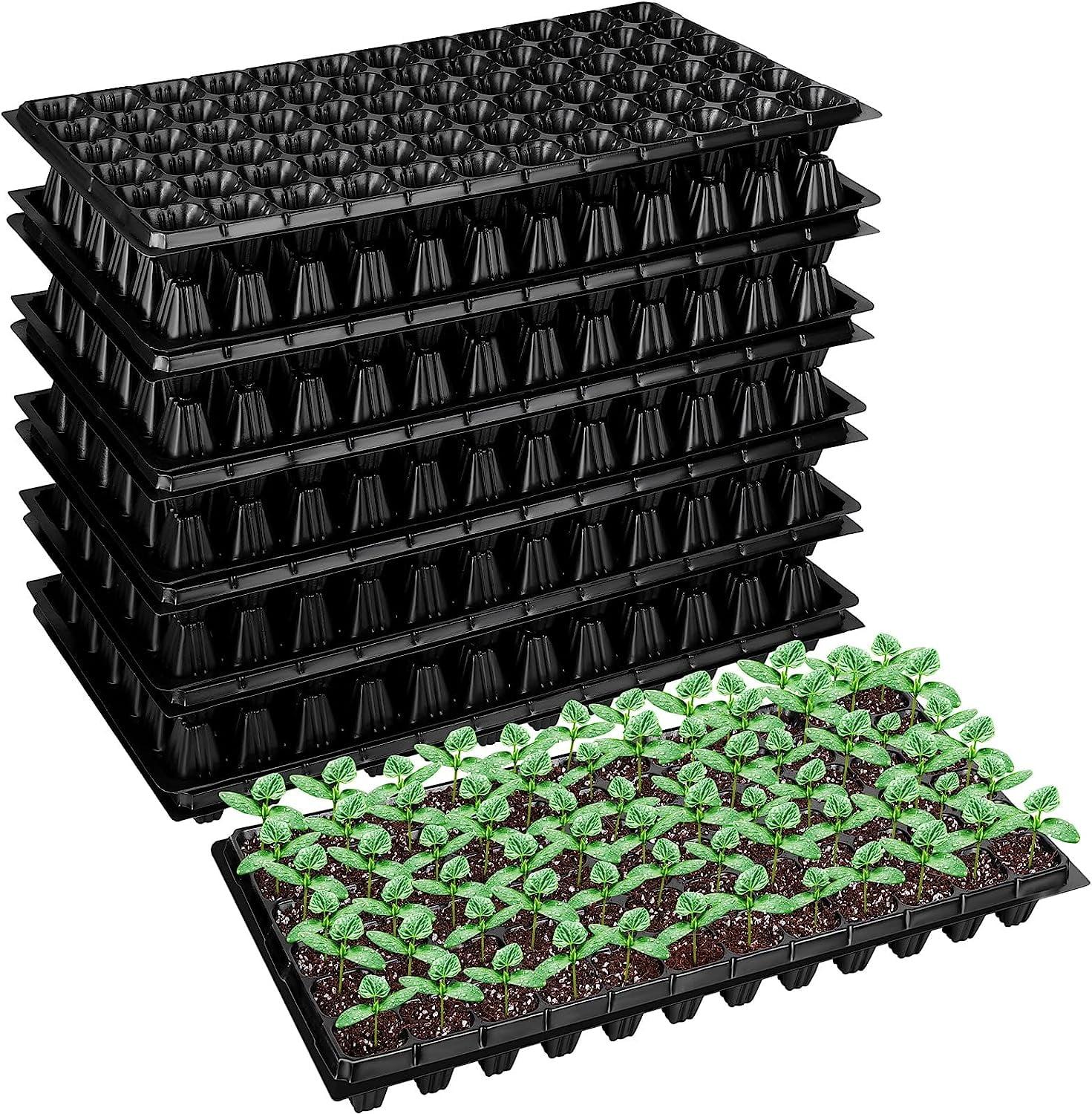 Tutuviw 10 Pack Seed Starter Kit, 72 Cell Seedling Trays Gardening ...