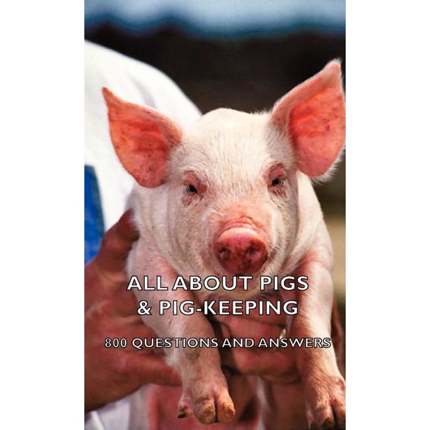 All about Pigs & Pig-Keeping - 800 Questions and Answers - Walmart.com ...