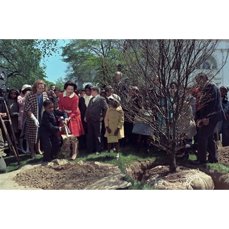 Lady Bird Johnson And Young Boy Shoveling Dirt During An Arbor Day Tree ...