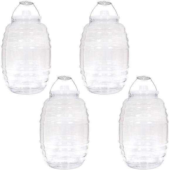 Agua Fresca Container