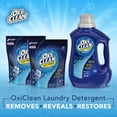 OxiClean Stain Fighter Liquid Laundry Detergent, Sparkling Fresh Scent ...