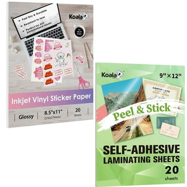 Hayes Paper, Waterslide Decal Paper INKJET CLEAR 20 Sheets Premium ...