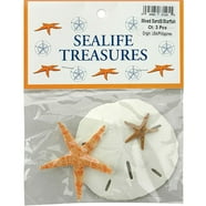 Coco Midrib Sea Shell Pack: Natural, 6 inches - Walmart.com