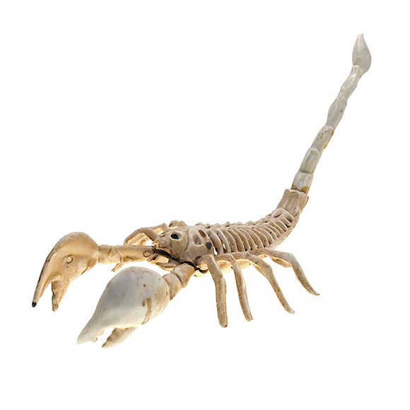 Animal Skeleton Halloween Decorations