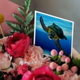 3drose, Sea Turtle Diving, 6 Greeting Cards with Envelopes - Walmart.com