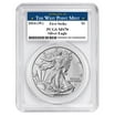 2020-W Burnished $1 American Silver Eagle PCGS SP70 FS Flag Label - Walmart.com
