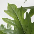 81.3'' Artificial Breadfruit tree in a tall beige fiberstone planter ...
