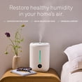 Molekule Glow Humidifier, Smart Ultrasonic Humidifier, Indoor Air ...