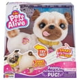 Pets Alive Plush Toys for Grade School Classroom Rewards - Walmart ...