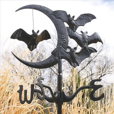Design Toscano Windblown Wicked Witch Metal Weathervane: Roof Mount ...