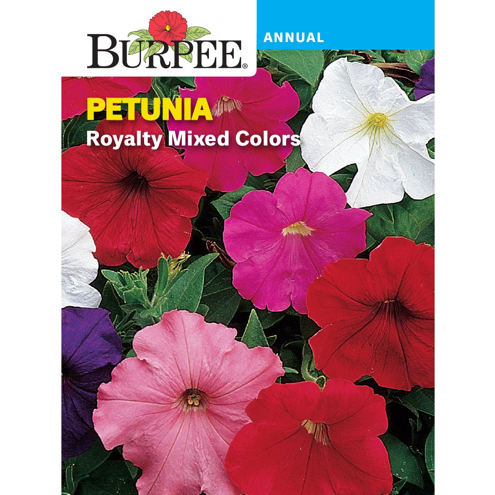 Burpee Royalty Mixed Colors Petunia Flower Seed, 1-pack - Walmart.com ...