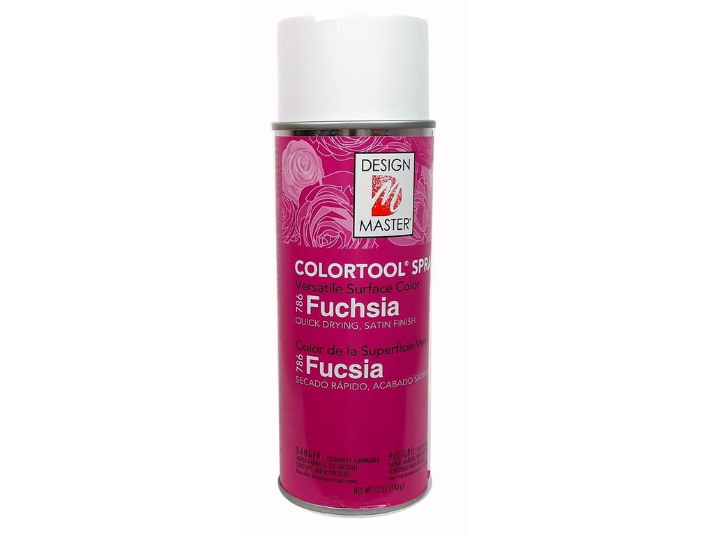 Design Master Colortool 12oz Fuchsia - Walmart.com
