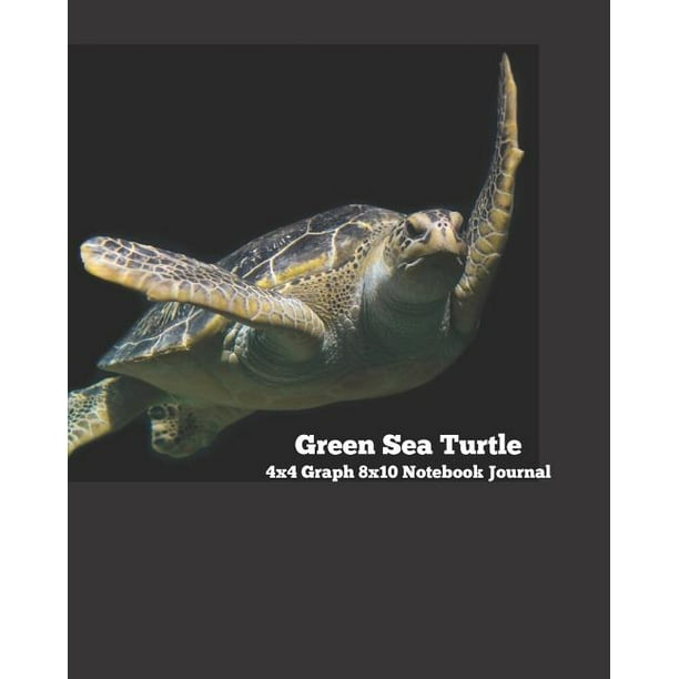 Green Sea Turtle 4x4 Graph 8x10 Notebook Journal - Walmart.com