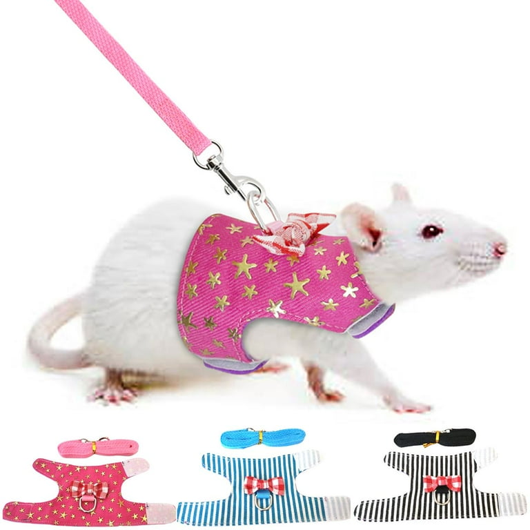 Ferret Clothing