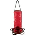 SNYNUXX Outdoor Extra Large Red Glass Hummingbird Feeder, 5 Feeding ...