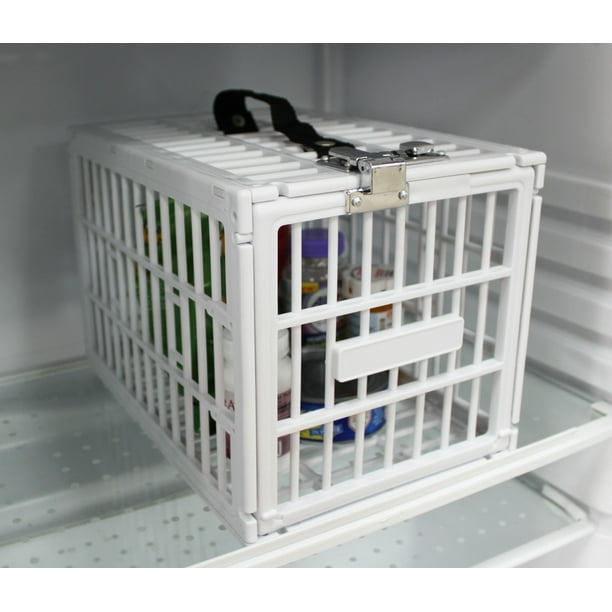 Fridge Locker Box - Portable Refrigerator Food, Snacks, Beverage ...