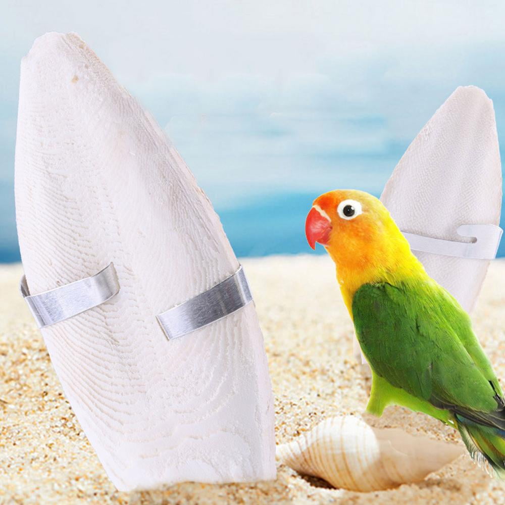 Buy Leking Bird Cuttle Bone Bird Cuttlebone for Parakeets Natural ...