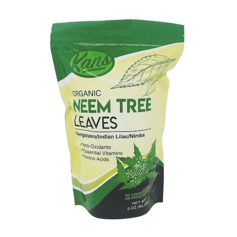 Neem Tree Leaves