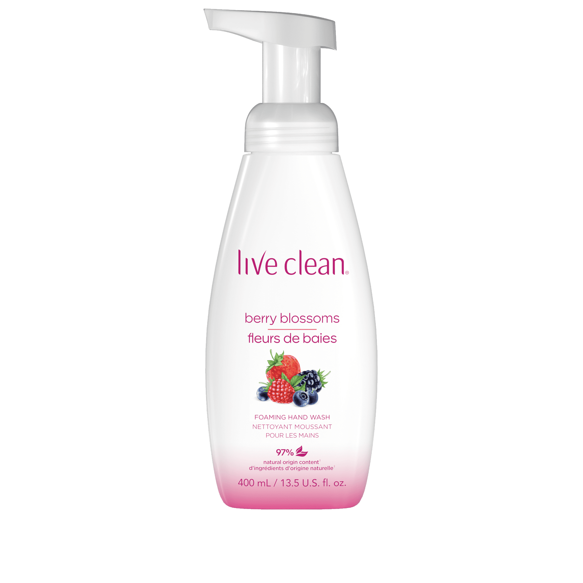 Click here for Live Clean Lcn Bry Foam Hs prices