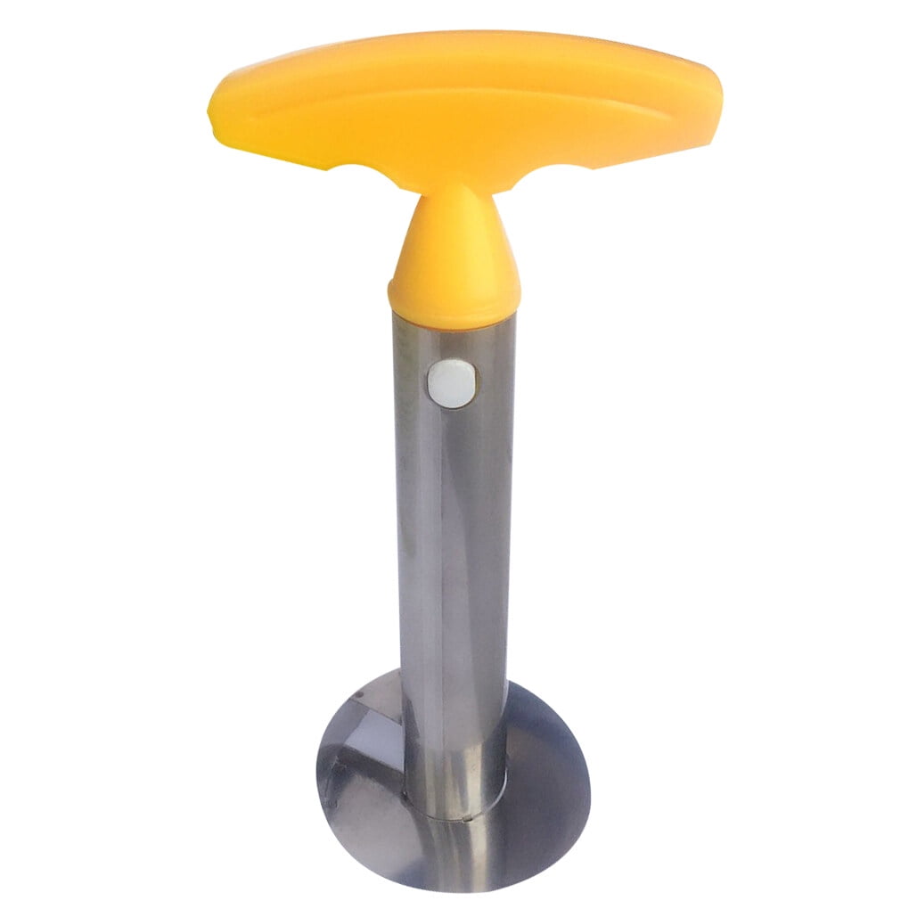 Click here for Stanreset Stainless Steel Pineapple Peeler Pineapp... prices