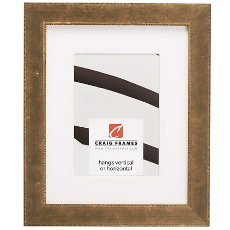 Craig Frames Patina 125, 8 x 10 Inch Picture Frame Matted to Display a ...