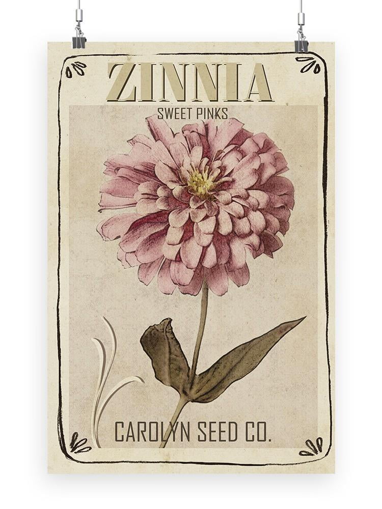 Vintage Seed Packets B Poster - Studio W Designs, - Walmart.com