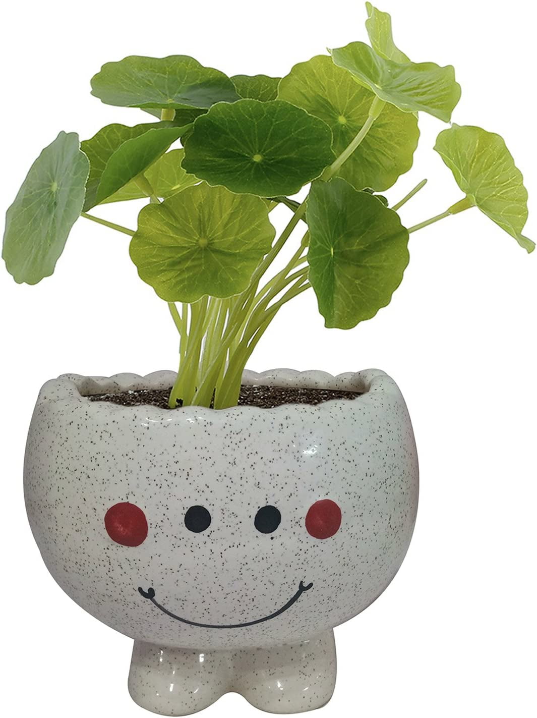 India Meets India Handicraft Ceramic Flower Pots Ceramic Planter Plant ...