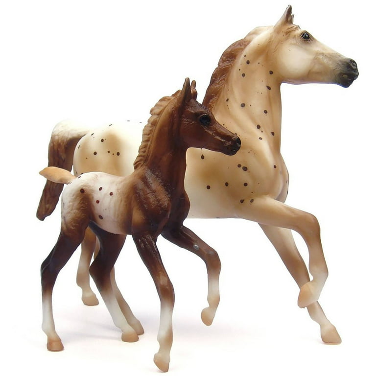 Chestnut Leopard Appaloosa