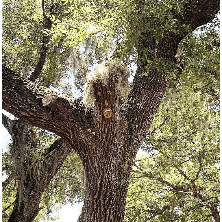 Outdoor Tree Face Decorations